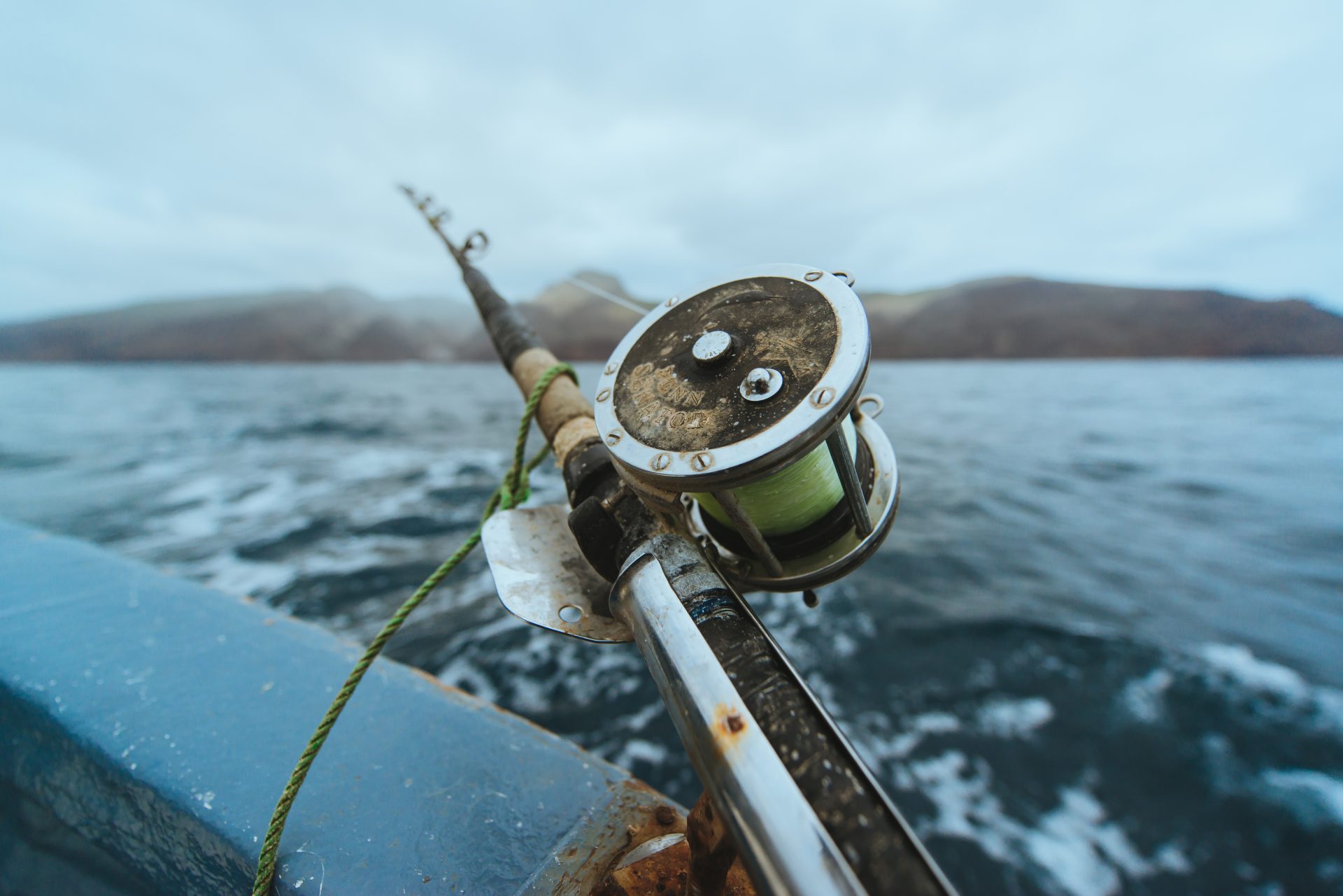 IPNLF Welcomes The Green Fish Company, St Helena, as its newest member ...