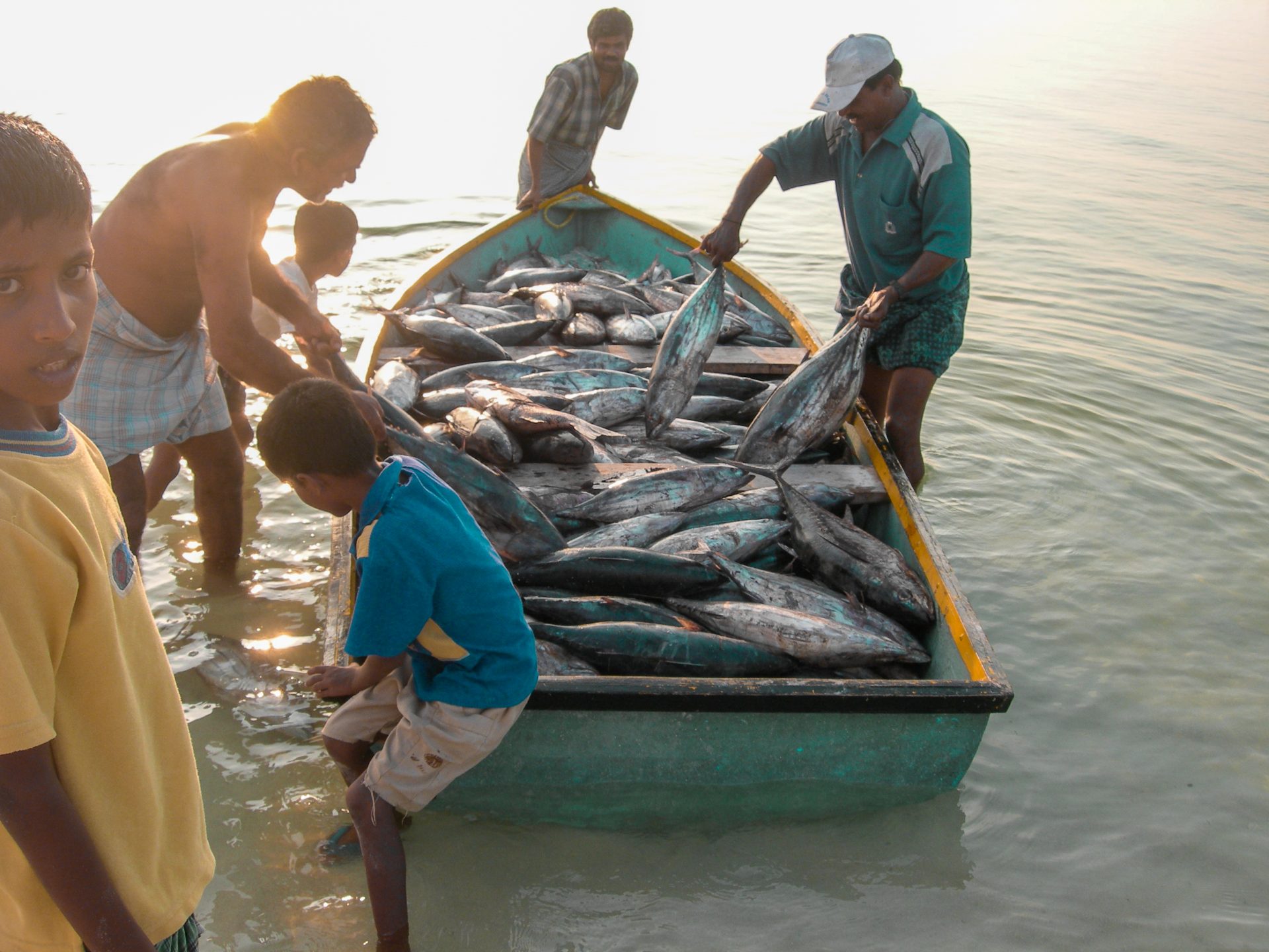 Market Advisory Group (MAG) - IPNLF