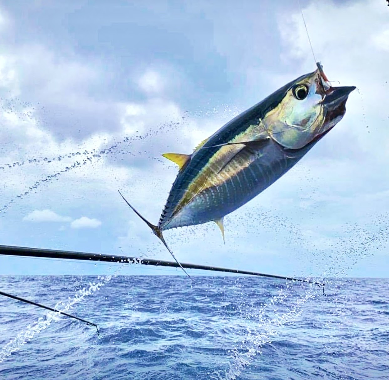 Member Resources - IPNLF