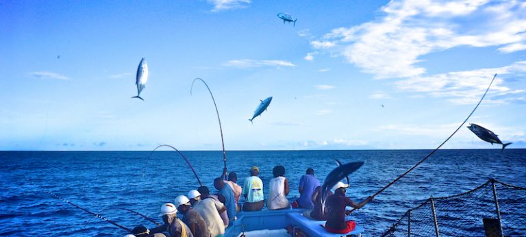 Fishery showcase: Solomon Islands - IPNLF