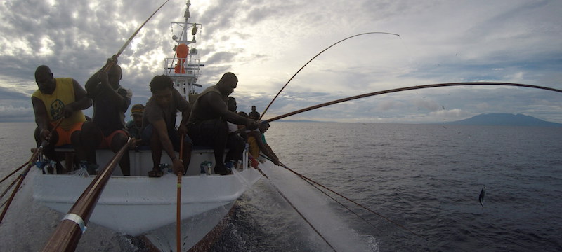 Fishery showcase: Solomon Islands - IPNLF