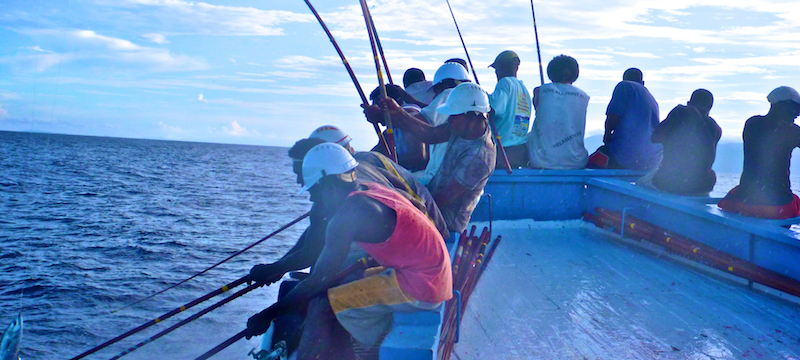 Fishery showcase: Solomon Islands - IPNLF