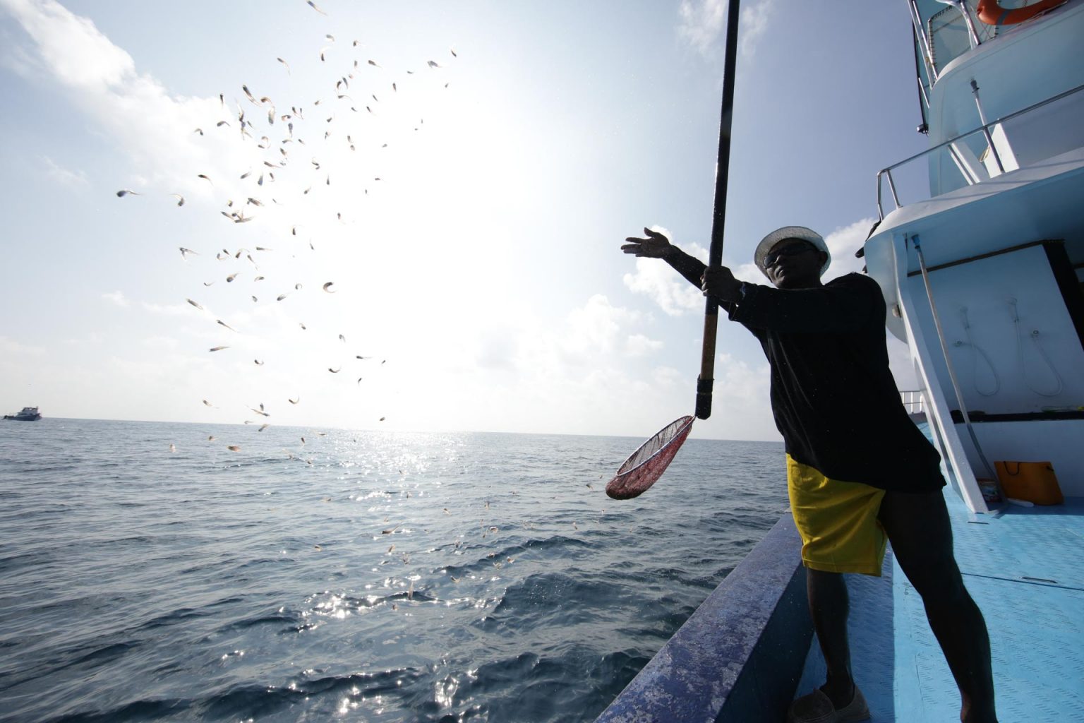 Unlocking a huge potential for ocean conservation and climate change: IPNLF- Maldives and SNtech ...