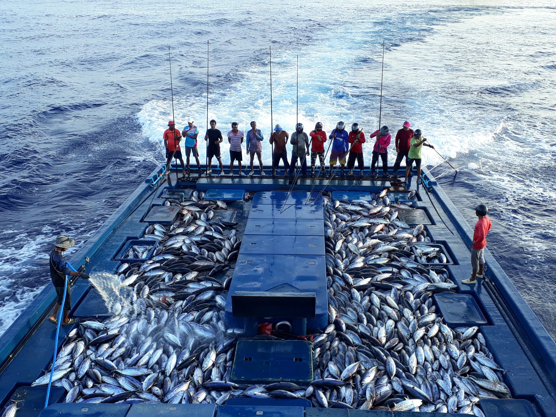 Unlocking a huge potential for ocean conservation and climate change ...