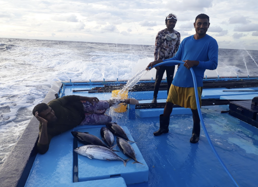 It’s World Fisheries Day! - IPNLF