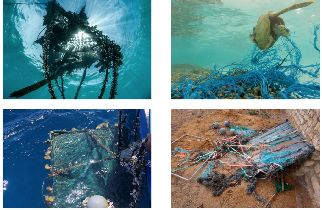 100+ Organisations call on the EU to support effective management of ...