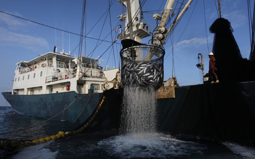 HOW CAN SEAFOOD COMPANIES MEET HUMAN RIGHTS CHALLENGES WHILST ENSURING ...