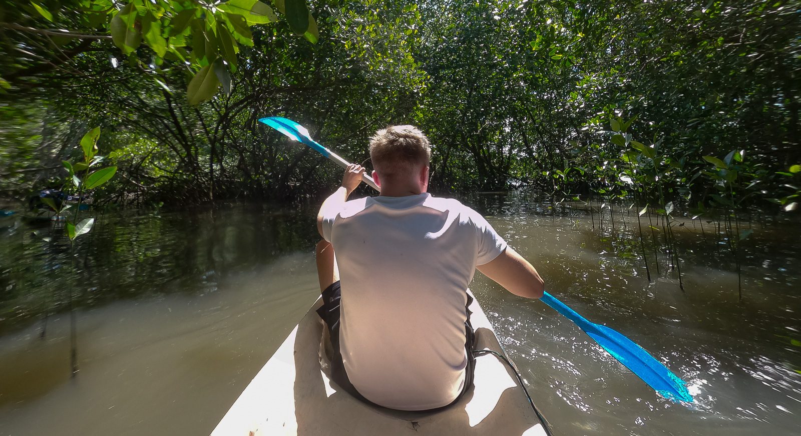 Exploring Bali's Mangroves: A Lifeline for Marine Conservation - IPNLF