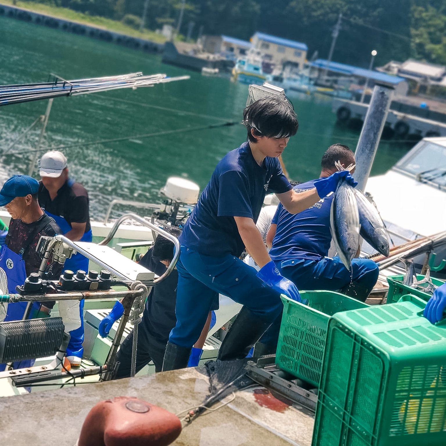 UMIGYO IN SMALL-SCALE FISHERIES IN JAPAN: HOW PROTECTING LIFE ABOVE ...