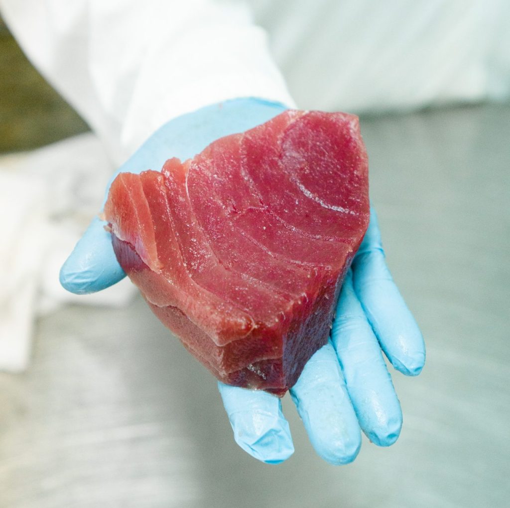 Maldives Tuna: An Icon in Food Production - IPNLF