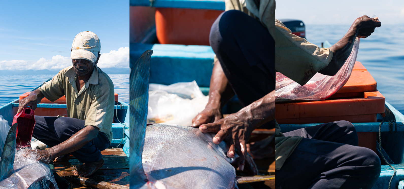 Tuna Journeys: A Day in the Life of a Fisher in Kawa, Indonesia - IPNLF