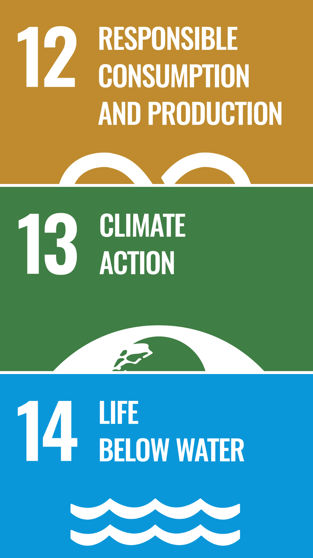 How small-scale fishers in Indonesia are revolutionising ice production ...